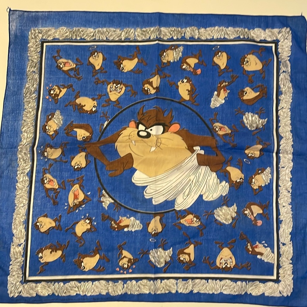 Vintage 1996 Warner Bros. Looney Tunes Blue Taz Tasma… - Gem